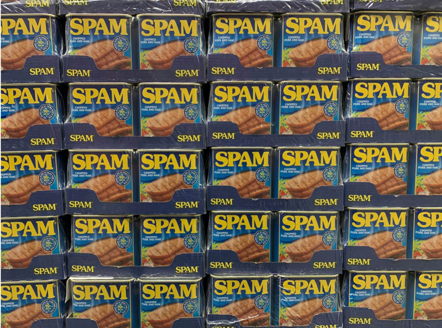 Delicious Easy Breakfast Spam Recipes - Frugal Money Savers